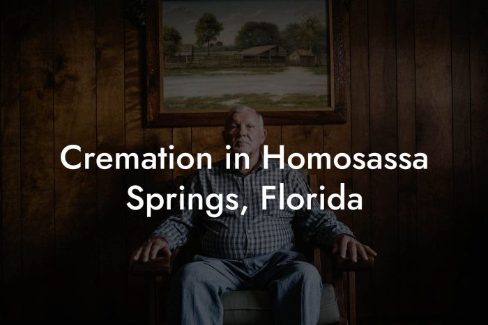 Cremation in Homosassa Springs, Florida - Eulogy Assistant
