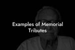 Examples of Memorial Tributes - Eulogy Assistant