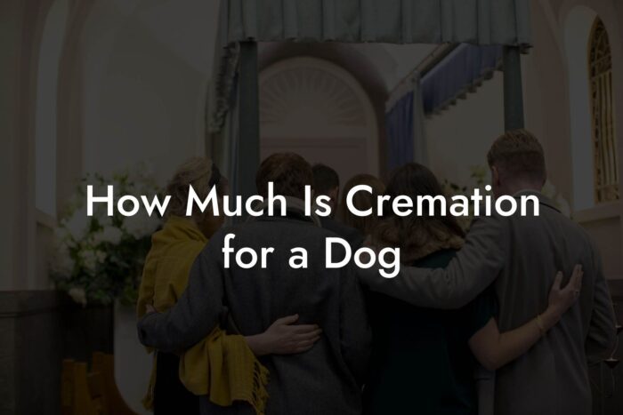 How Much Is Cremation for a Dog - Eulogy Assistant