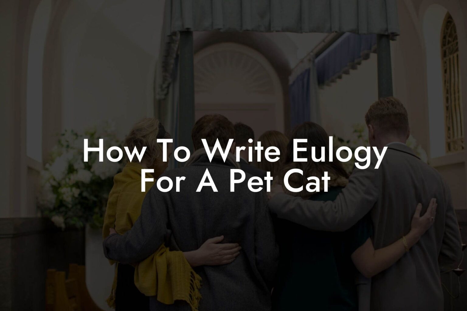How To Write Eulogy For A Pet Cat - Eulogy Assistant