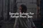 Sample Eulogy For Father From Son - Eulogy Assistant