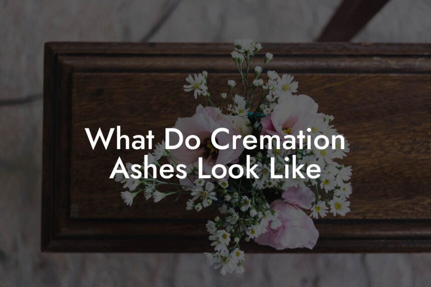 What Do Cremation Ashes Look Like - Eulogy Assistant
